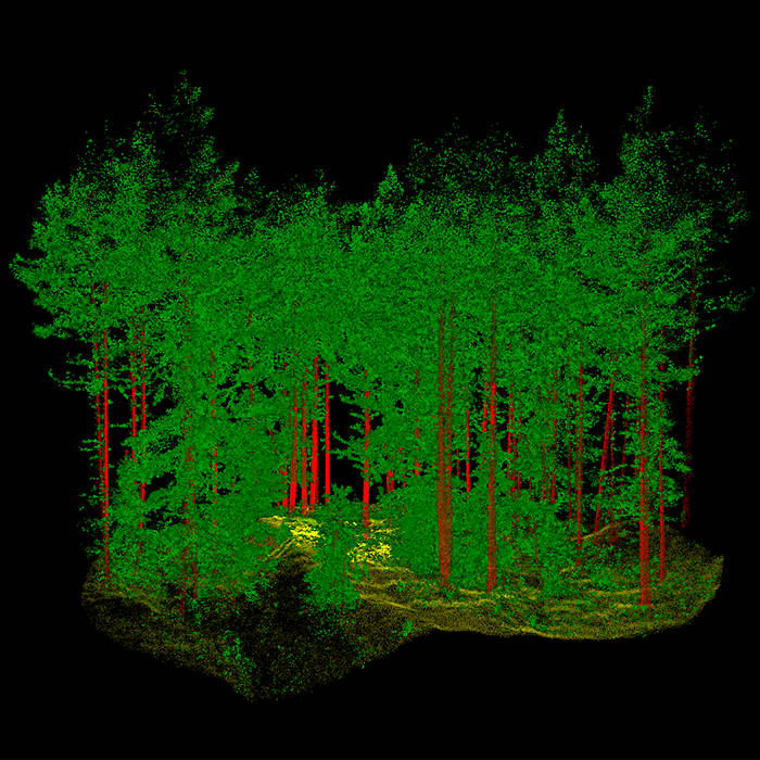 How Lidar Is Becoming An Essential Tool In Forestry Article Faro
