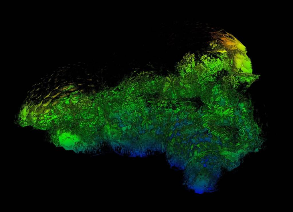 How Lidar Is Becoming An Essential Tool In Forestry Article Faro